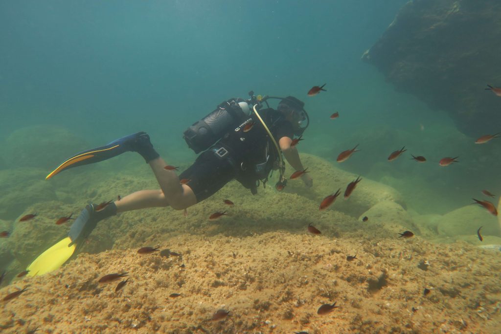 buceo-malta (11) - OK Diving Malta