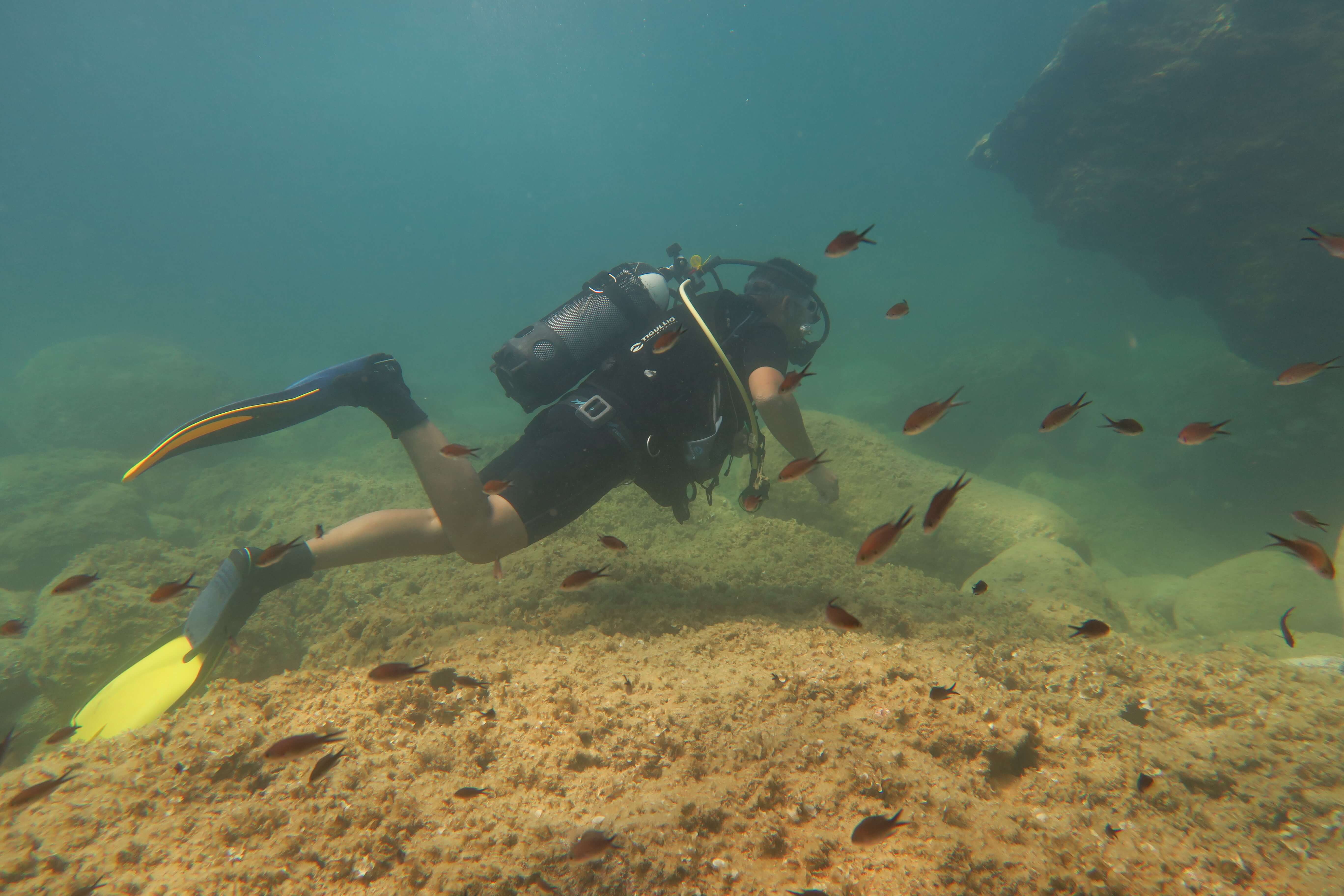 buceo-malta (11) - OK Diving Malta