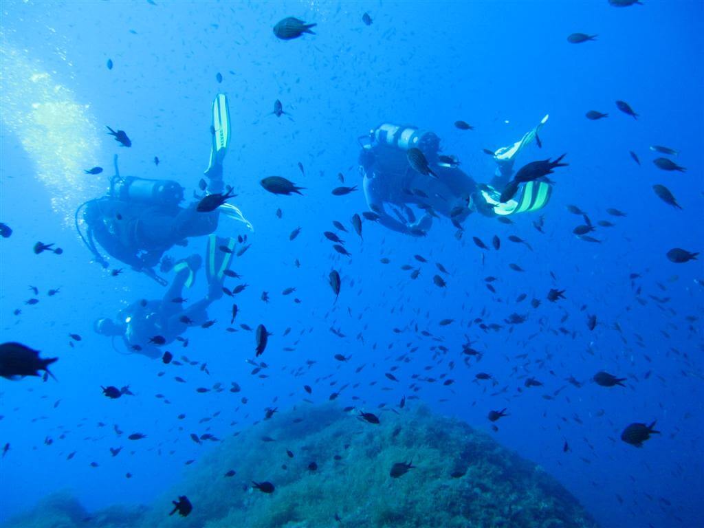 buceo-malta (15) - OK Diving Malta