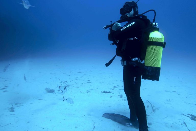 buceo-malta (26) - OK Diving Malta