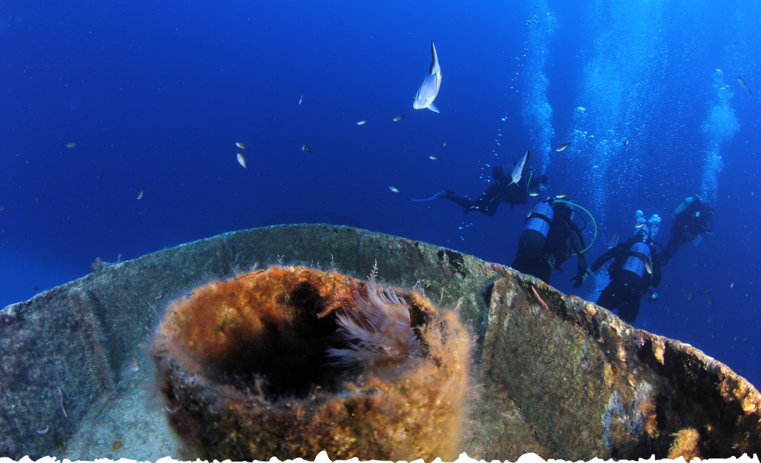 buceo-malta (19)_1 - OK Diving Malta